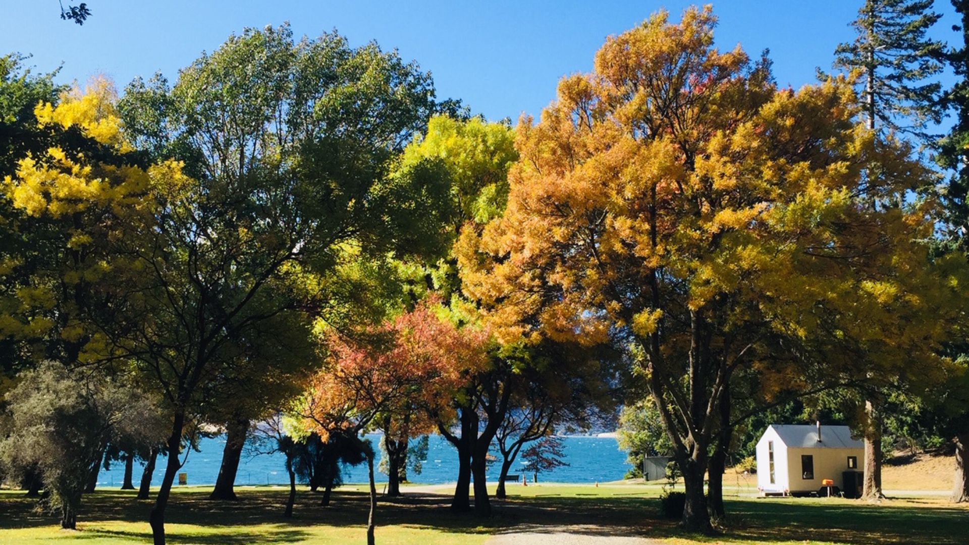 What’s Happening in April - The Camp | Lake Hawea Holiday Park & Campground